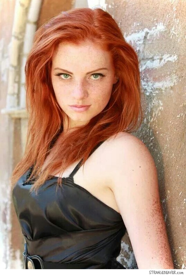 Redheads Make St Patrick s Day More Festive Strange Beaver Redheads Make St Patrick s Day More Festive Strange Beaver