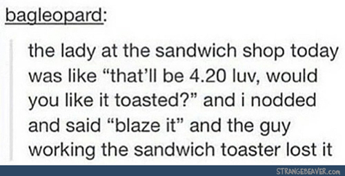 Tumblr Tuesday 6 20 Strange Beaver